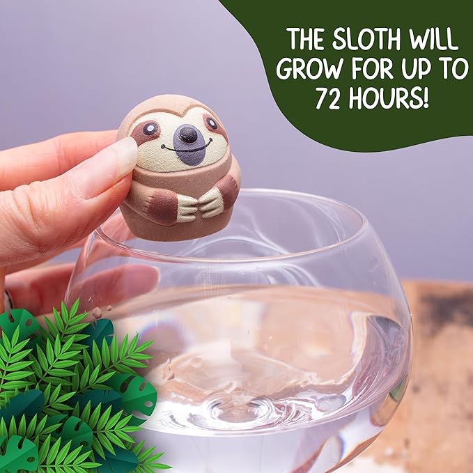 Grow a Sloth Toy – Ashleigh Money Saver